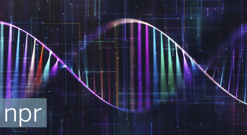 In A 1st, Scientists Use Revolutionary Gene-Editing Tool To Edit Inside ... In A 1st, Scientists Use Revolutionary Gene-Editing Tool To Edit Inside ...